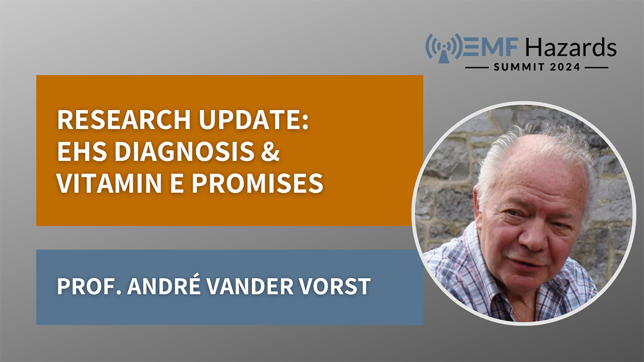 Current Stream - Brighteon University